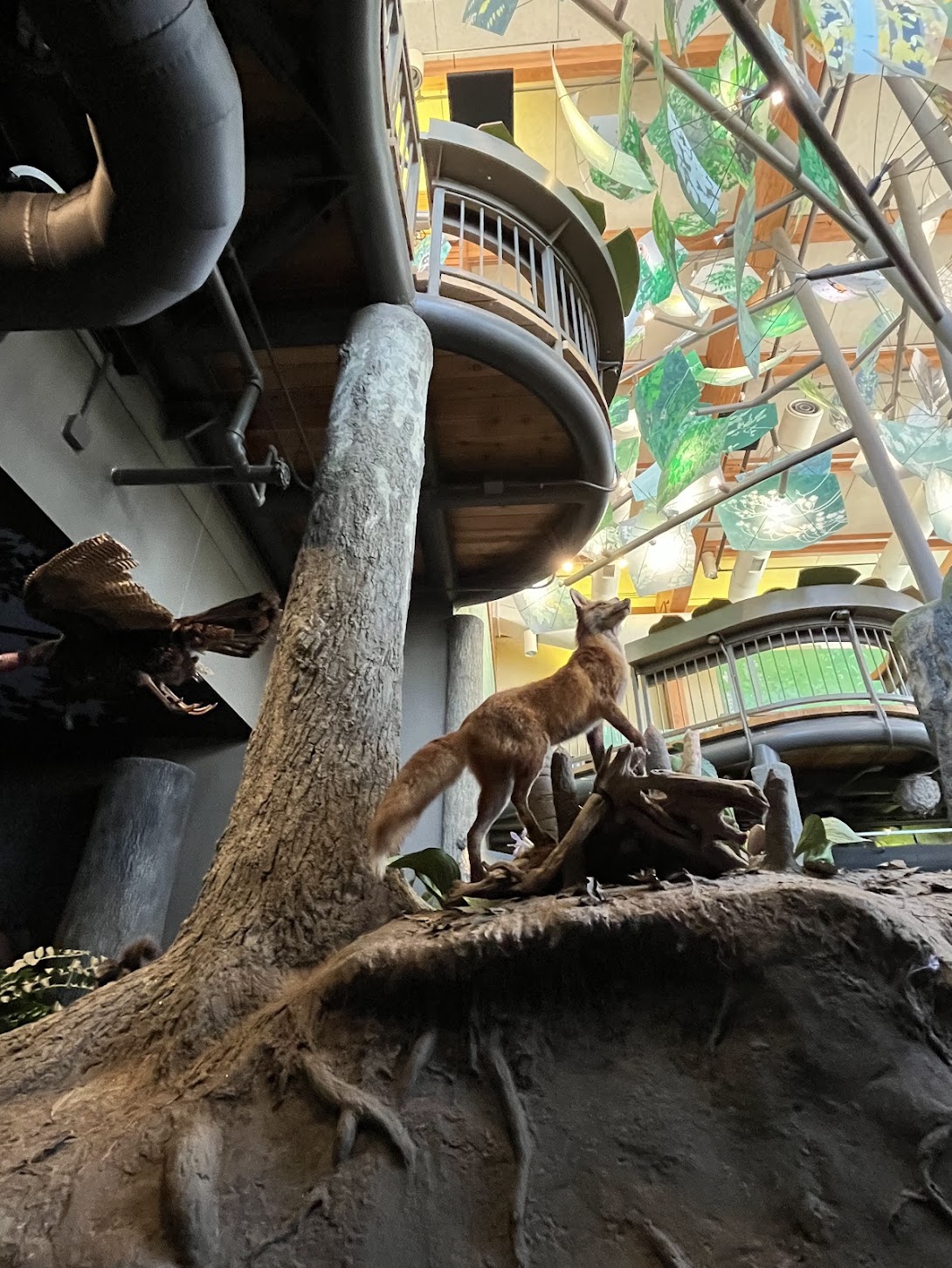 5 Things to Discover at Robinson Nature Center