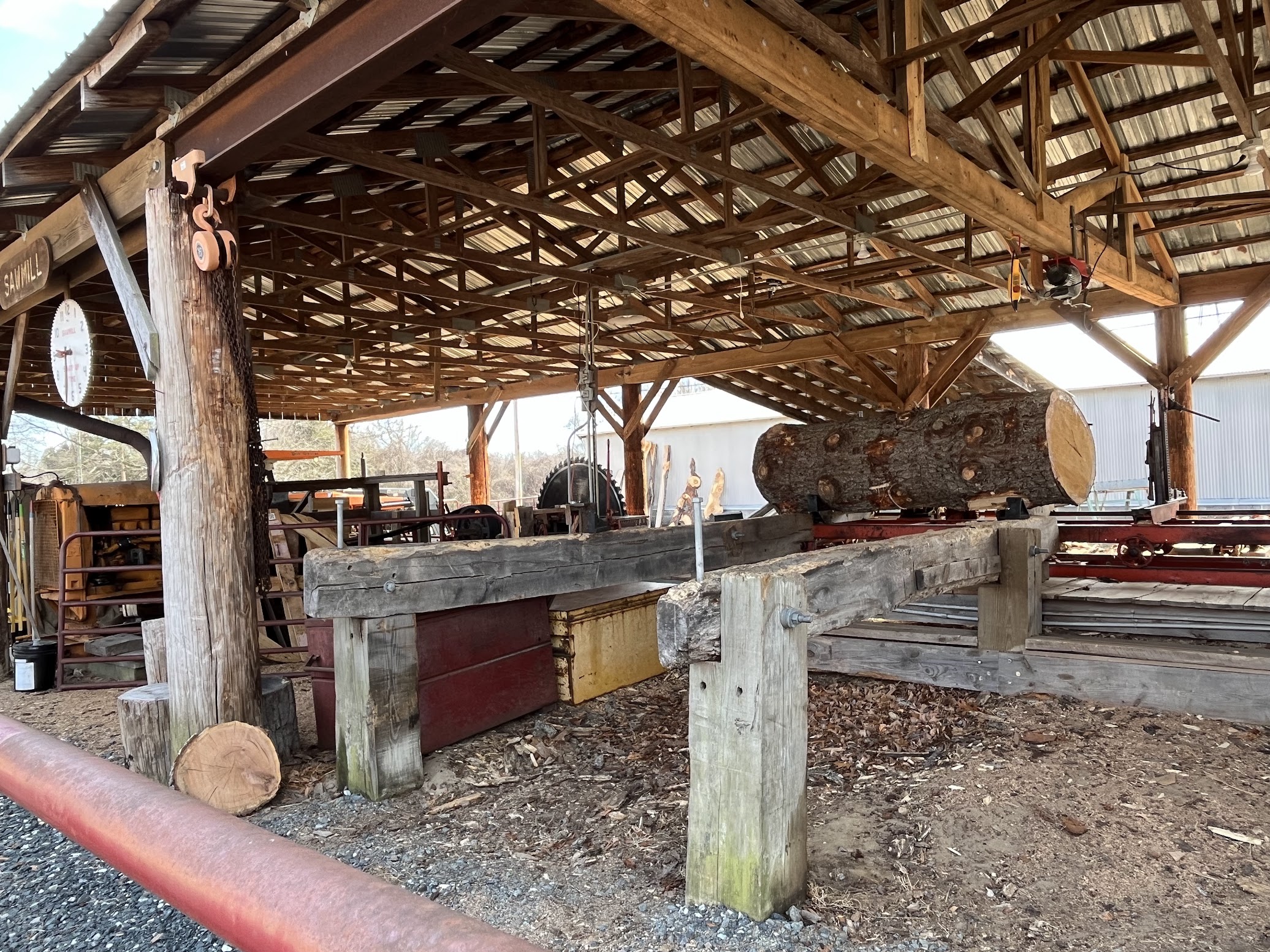 Exploring Kinder Farm Park