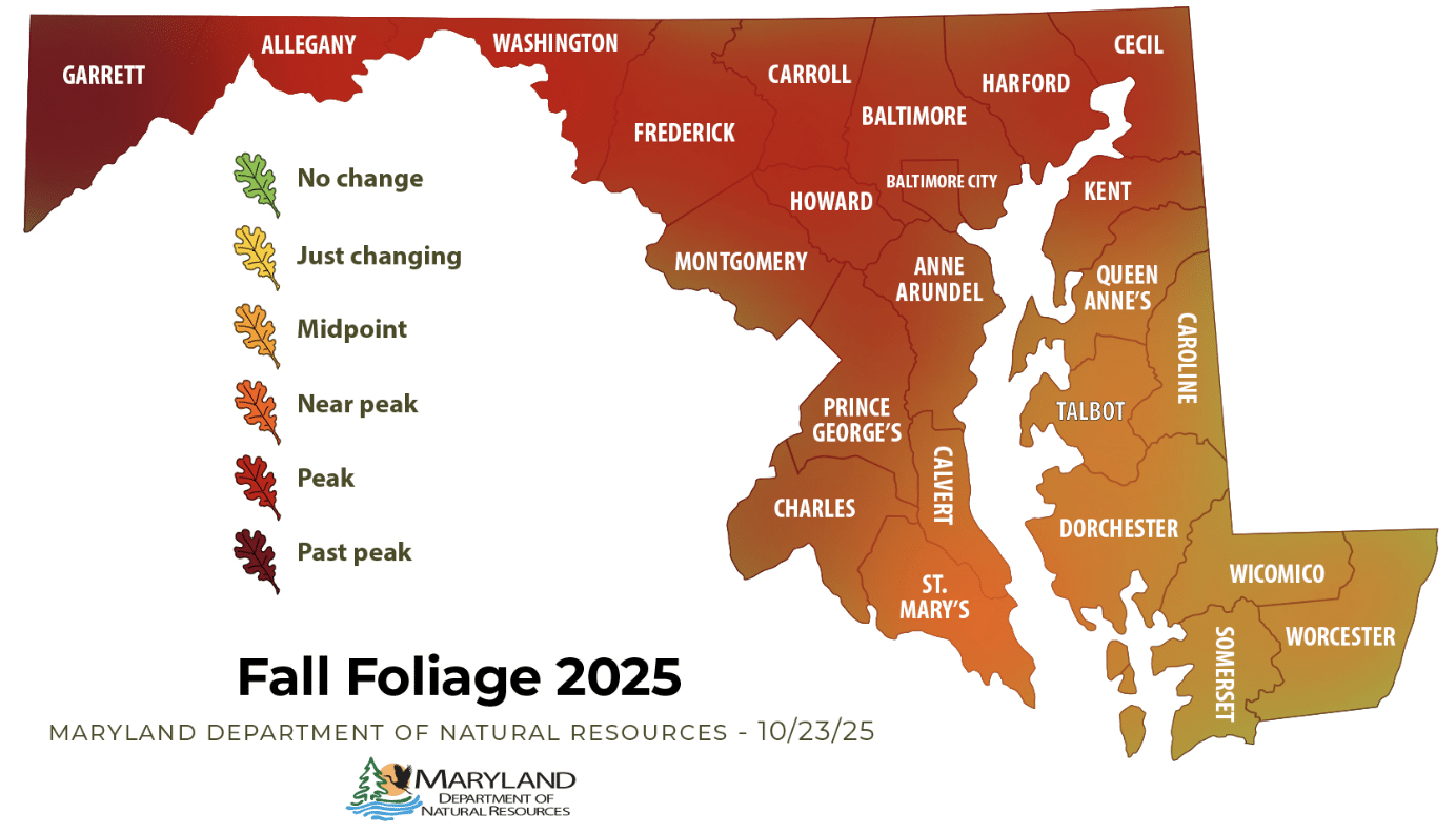Best Places to See Fall Foliage and Colors in Maryland